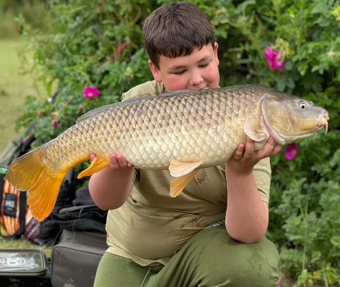 Beautiful Common Off The Top | Total Carp